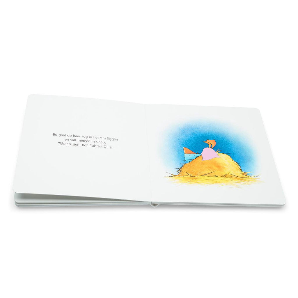 Gottmer Kinderboeken - Gonnie & Vriendjes Gaan Slapen